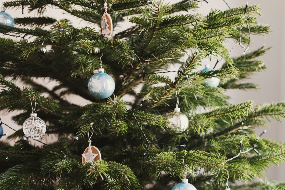 How to keep your Christmas tree fresh for longer - Conkers Garden Centre
